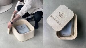 Mushroom Packaging: The Future of Eco-Friendly Packaging